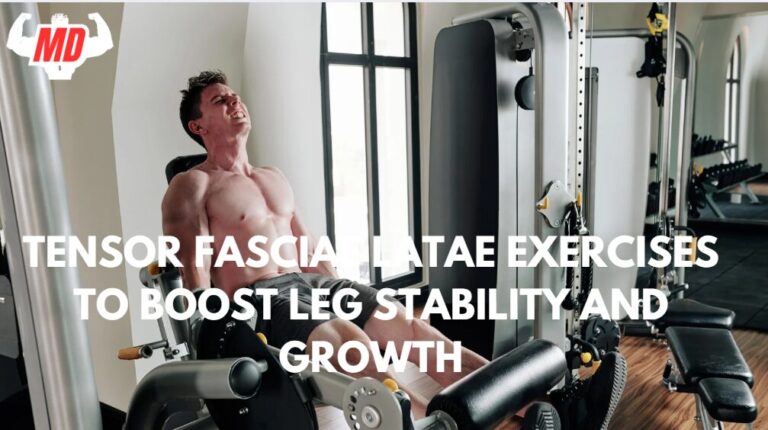 Tensor Fasciae Latae Exercises to Boost Leg Stability and Growth ...