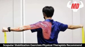 Scapular Stabilization Exercises Physical Therapists Recommend ...