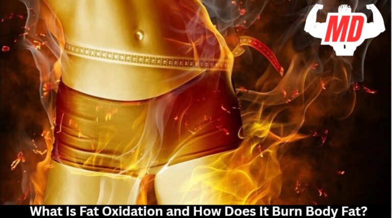 What Is Fat Oxidation and How Does It Burn Body Fat? - Bodybuilding News