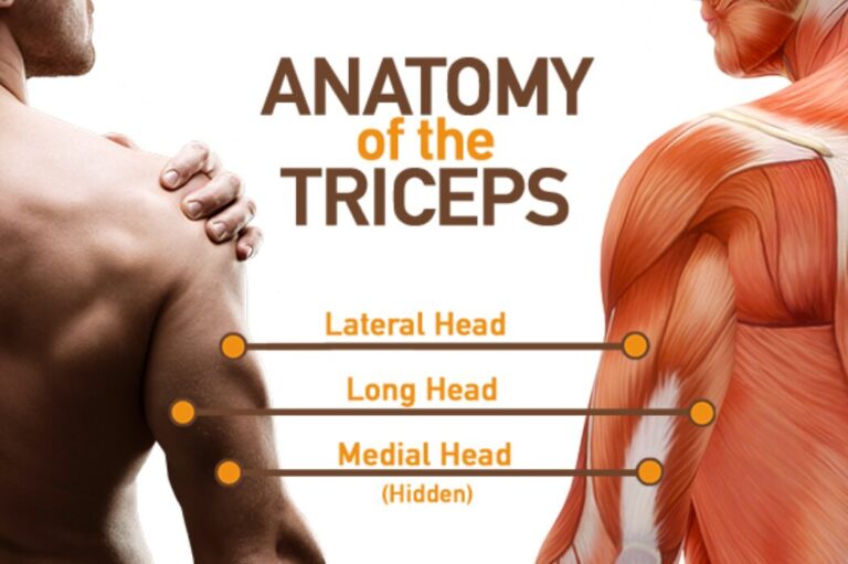 How to Do Tricep Extension? Techniques, Benefits & Variations ...