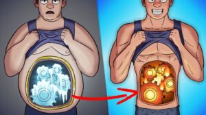 What Is Fat Oxidation and How Does It Burn Body Fat? - Bodybuilding News
